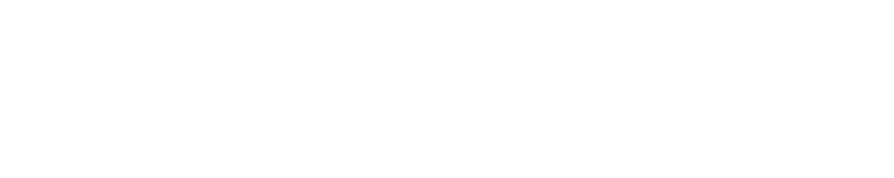 CargoSnap – First dutch