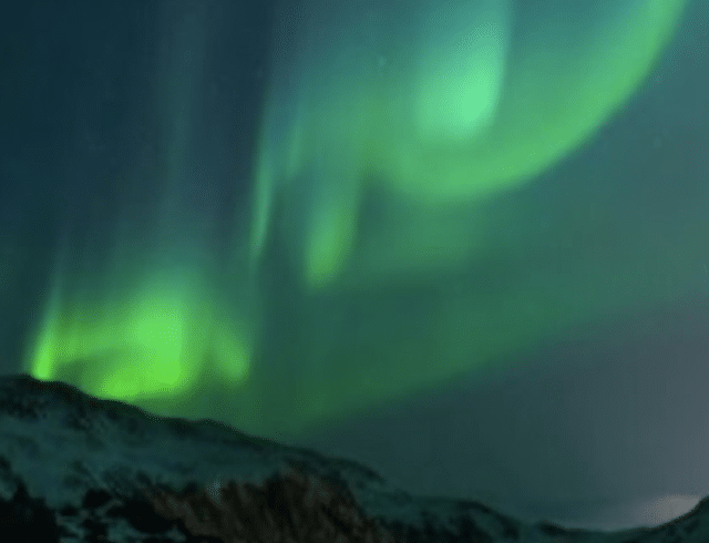 About First Dutch – First dutch