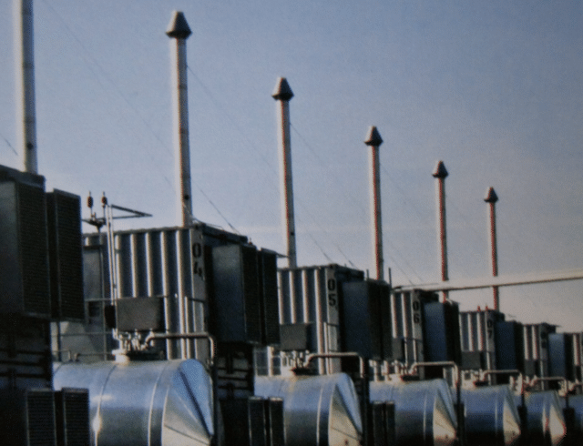 About First Dutch – First dutch