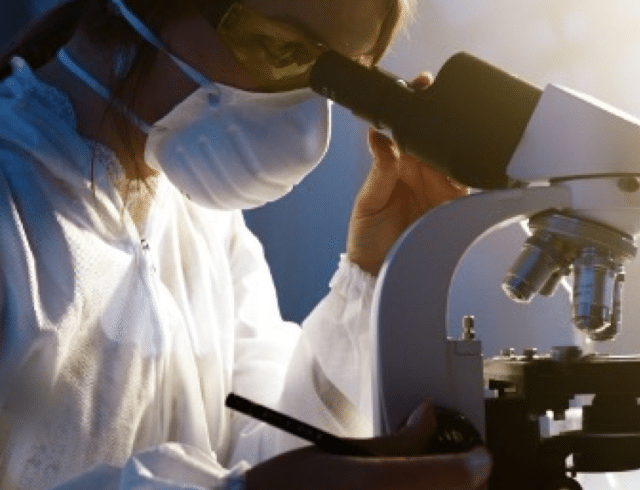 About First Dutch – First dutch